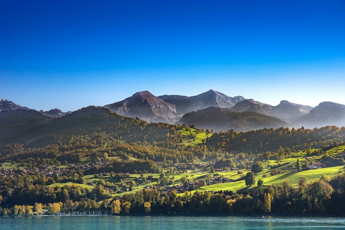 EU states give final green light to nature restoration law • Muser Press
