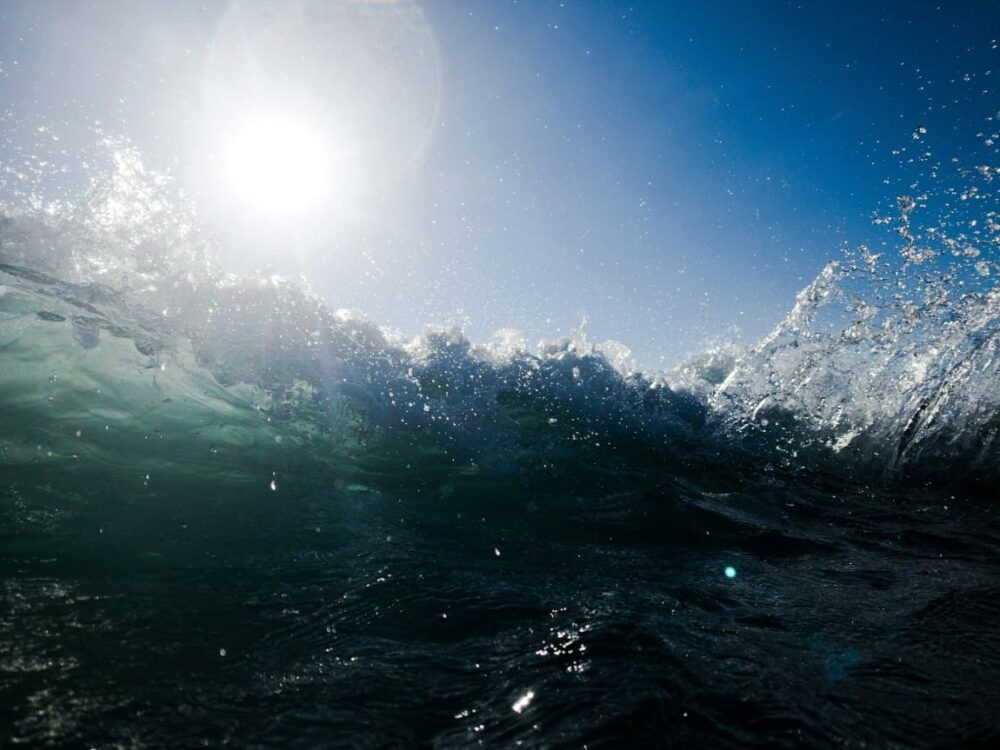 Oceans feel the heat from human climate pollution • Muser Press