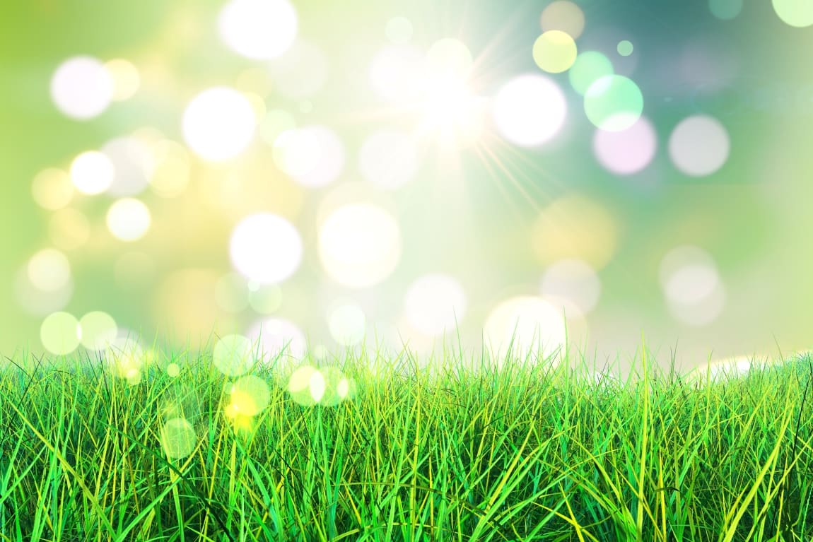 Exploring the Win-Win Potential of Grass-Powered Energy • Muser Press