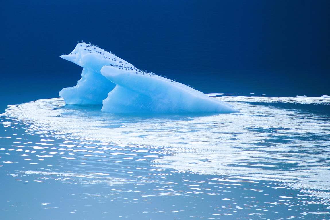 Arctic faces irreversible change as global warming nears 2.7°C • Muser ...