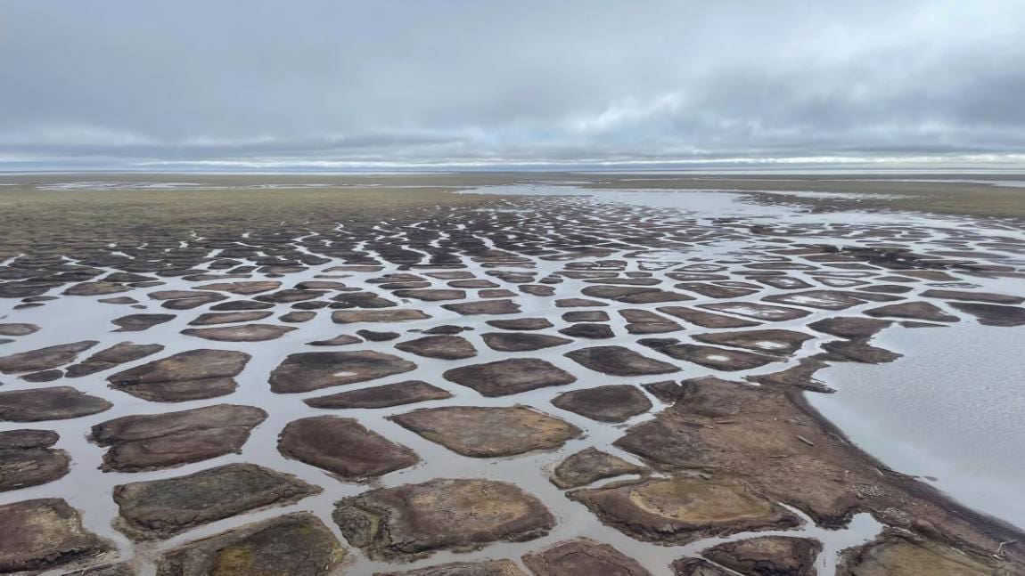 Coastal erosion in Alaska driven by overlapping climate hazards • Muser ...