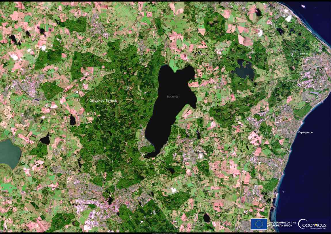 Image of the day: Protecting biodiversity in Gribskov, Denmark • Muser Press