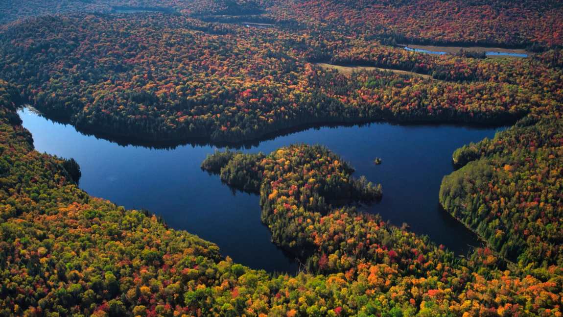 Why Canadian forests are burning more fiercely than ever • Muser Press