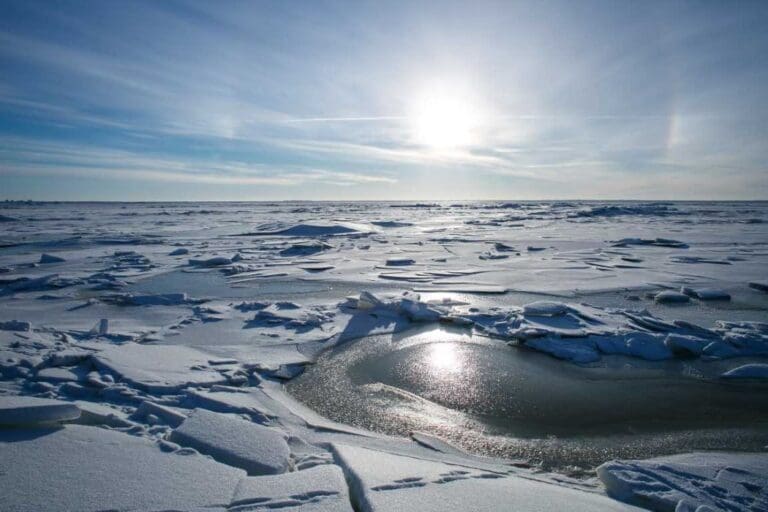 Coastal erosion in Alaska driven by overlapping climate hazards • Muser ...