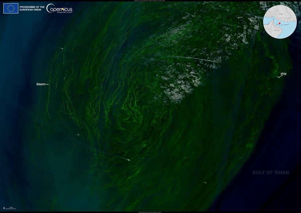 Image of the day: Glowing green algal bloom in the Gulf of Oman • Muser ...
