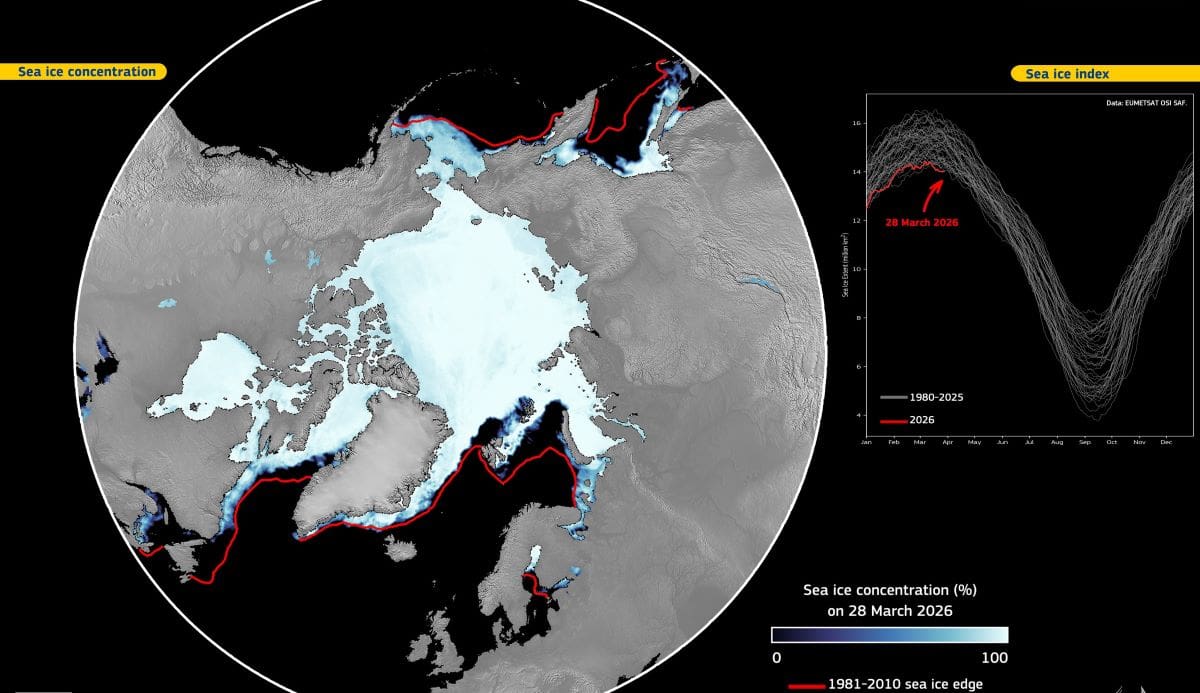 Image of the day: Arctic sea ice remains at record low levels in March ...